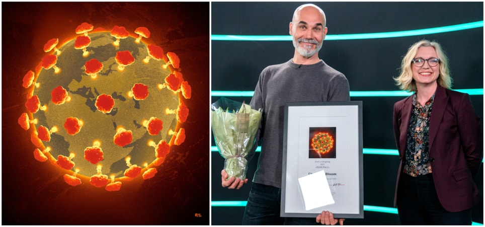 Christian Bloom har tegnet Årets avistegning